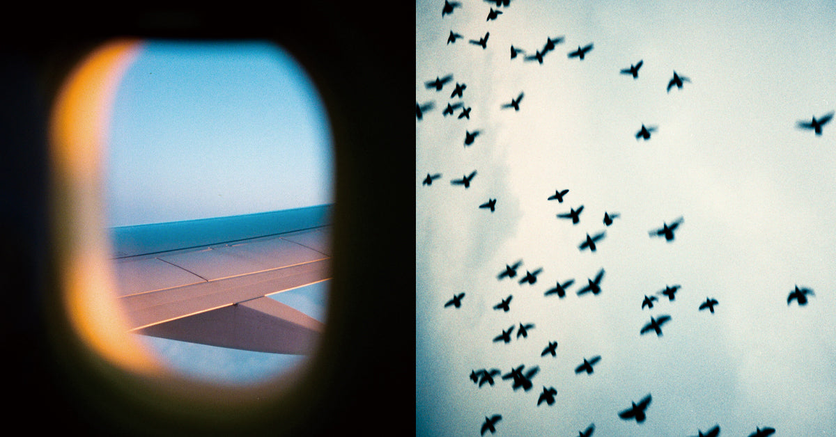 Archive Promotion – moonrisesapporo